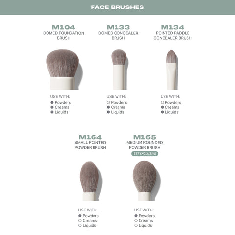 Ready, Set, Pro 16-Piece Face & Eye Brush Set – Morphe UK